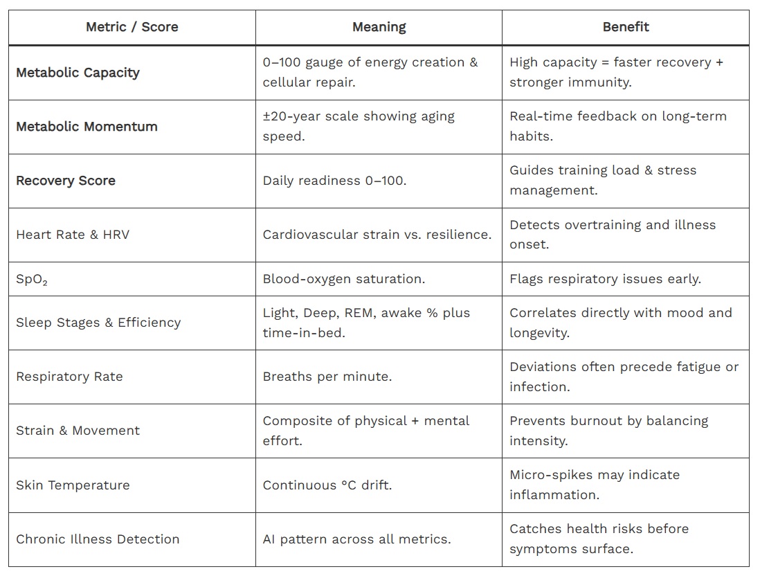 Hume Band Review – Pros, Cons & Real Feedback
